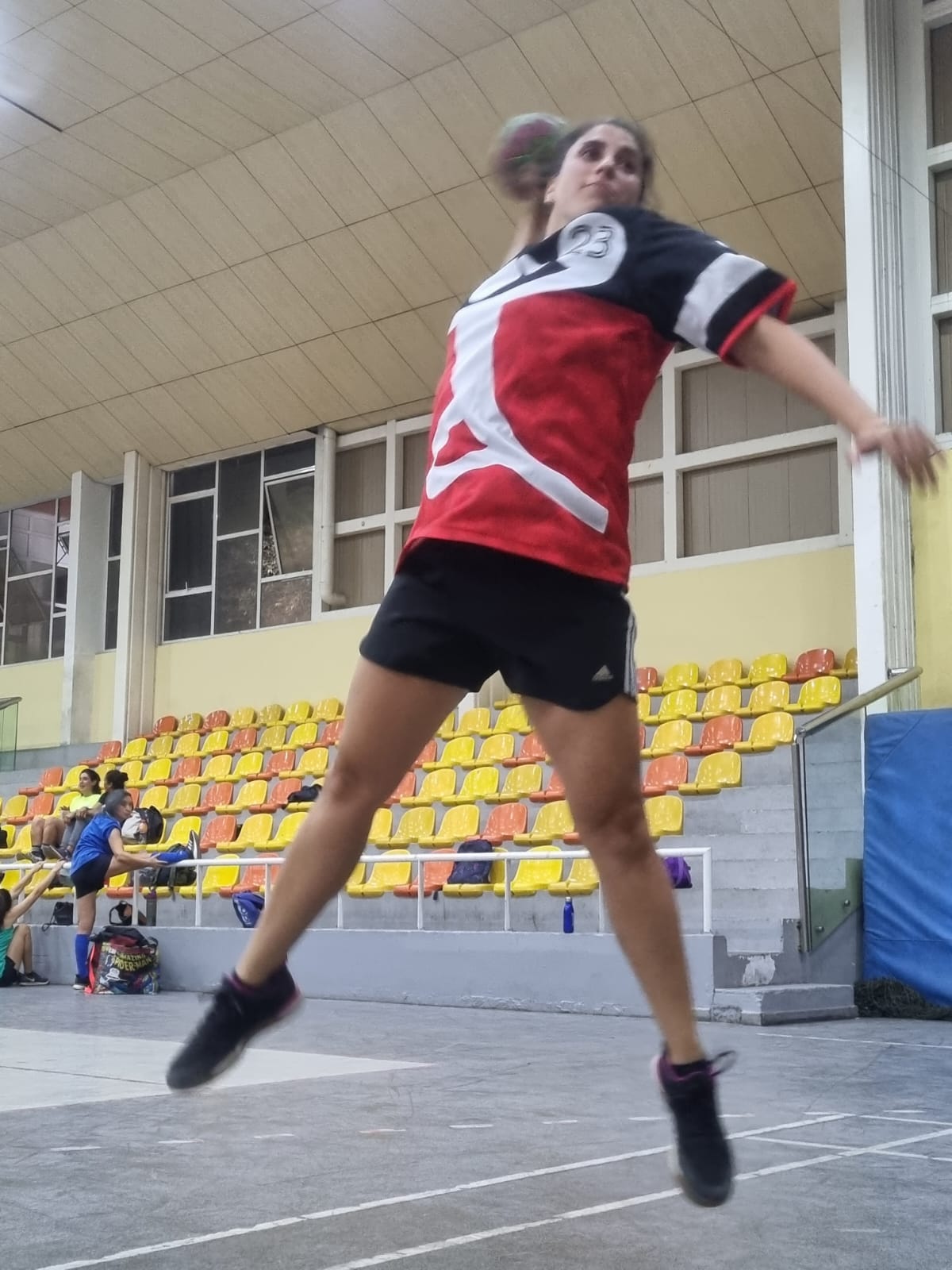 LMS | Profesoras LMS representarán a Chile en la Copa América Master de ...